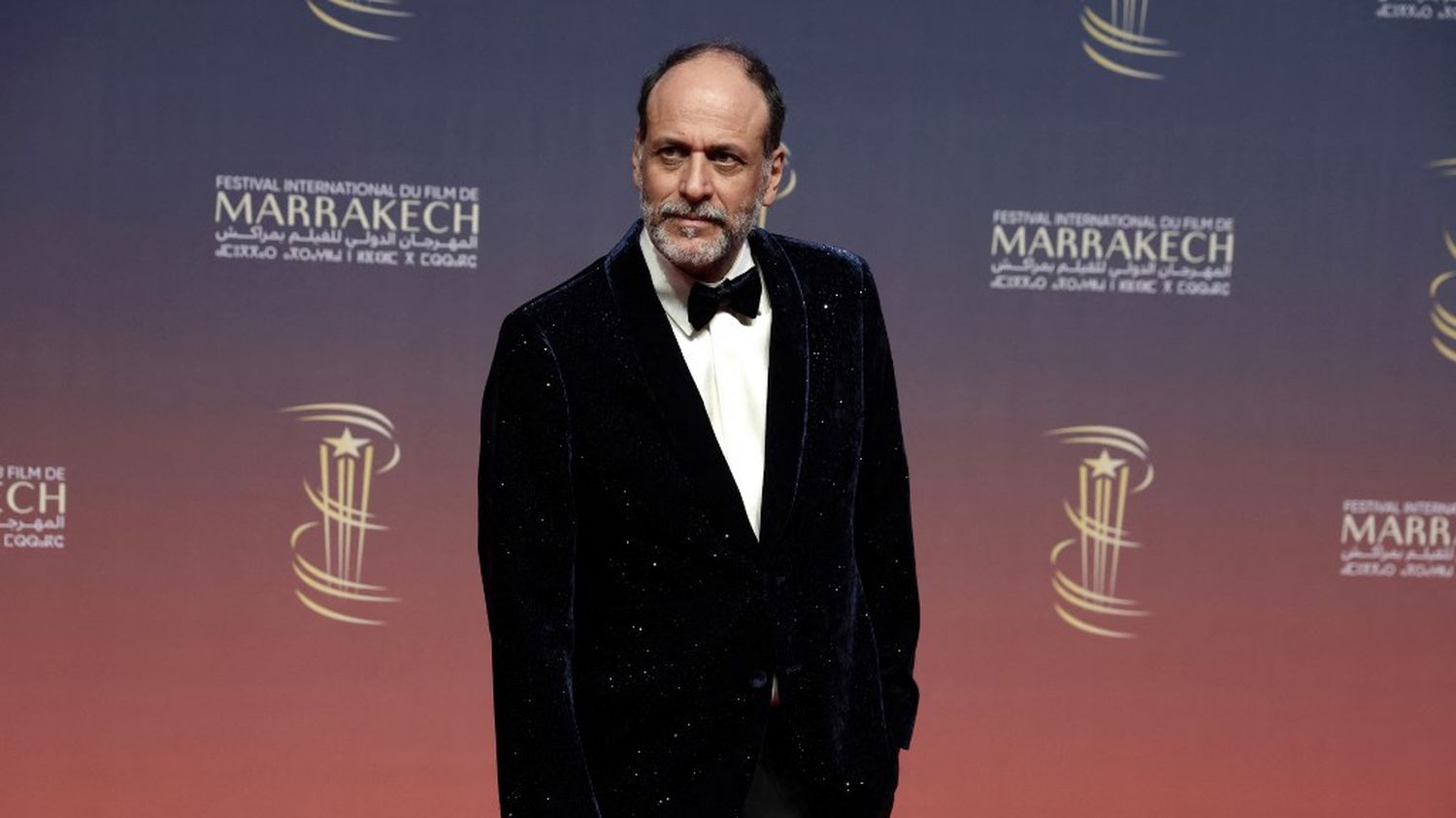 Luca Guadagnino critique la censure turque de son film "Queer"