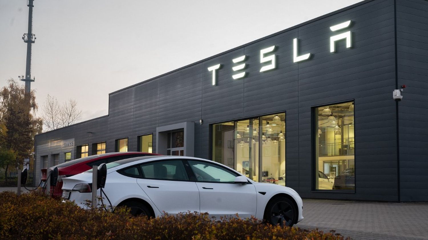 Boycott de Tesla : la France s'organise contre Elon Musk et touche à ...